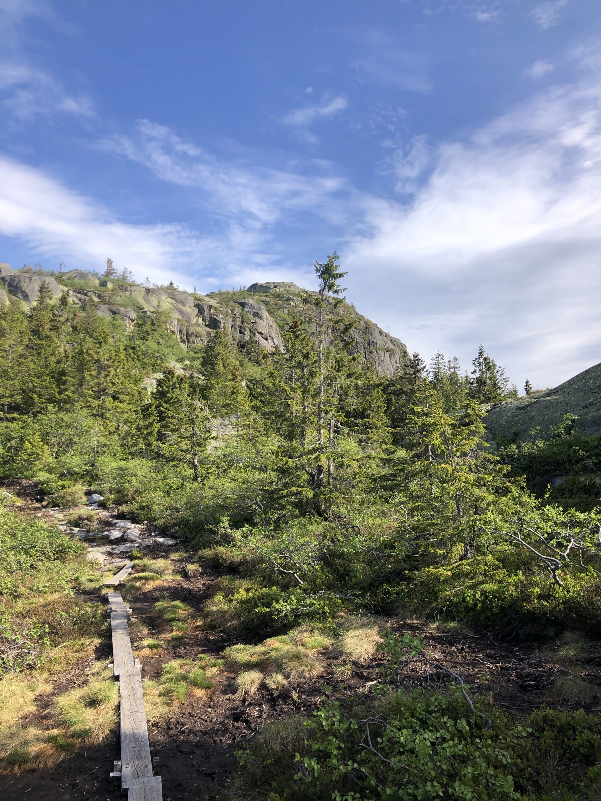 Stygg(e)mann fra Siljan